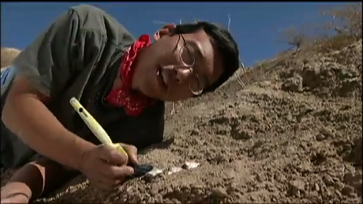 Scientist Profile: Paleontologist | PBS LearningMedia