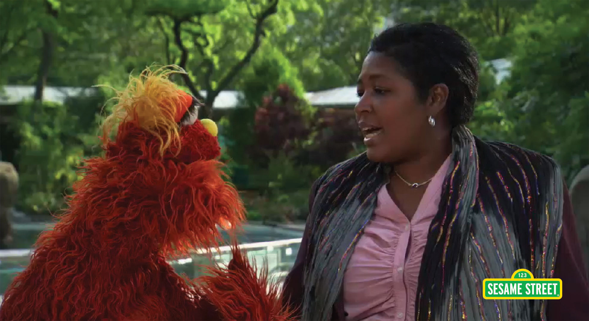 Word on the Street: Career with Murray | Sesame Street | PBS LearningMedia