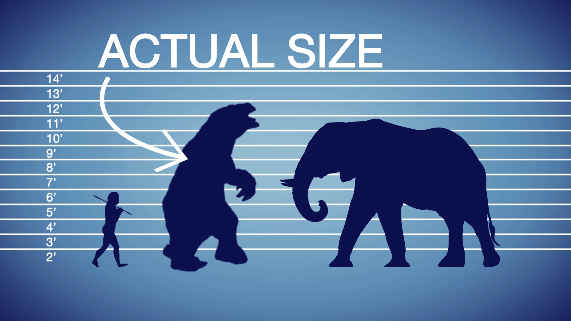 Teachable Moment: The Giant Ground Sloth | Fast Forward | PBS LearningMedia